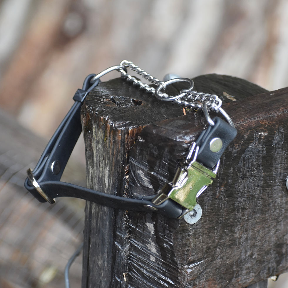 Bowie & Co. | Biothane | Australia