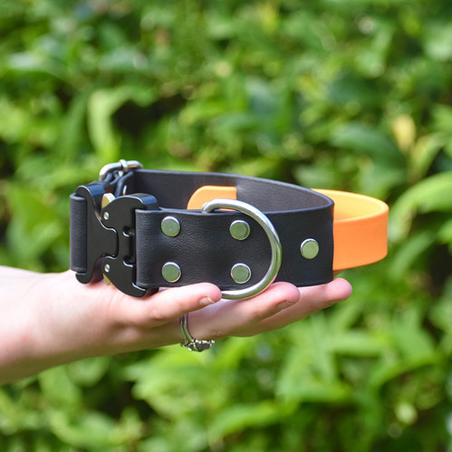 1.5” BioThane® Cobra Collar with Handle | Bowie & Co