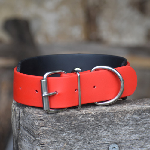 2” Heavy-Duty Double Layered BioThane® Collar | Bowie and Co