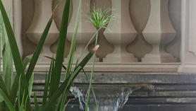 Styrotex Expanded Polystyrene | styrofoam expanded polystyrene ...