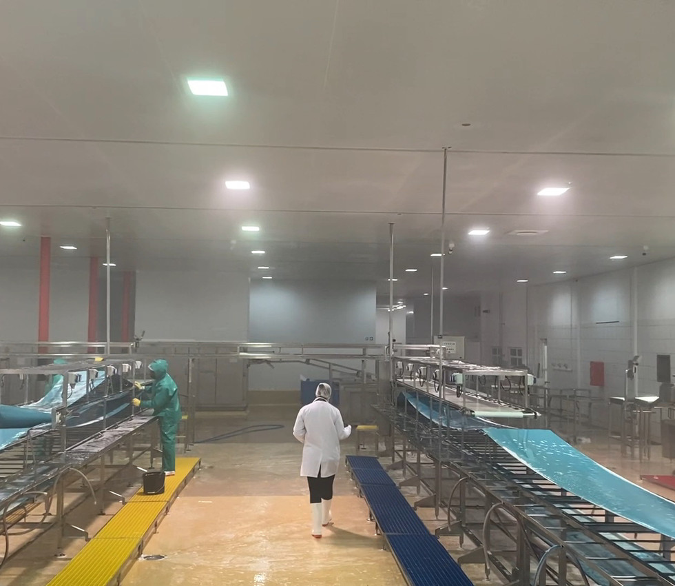 About Baywash Cleaning | Baywash Group | Namibia