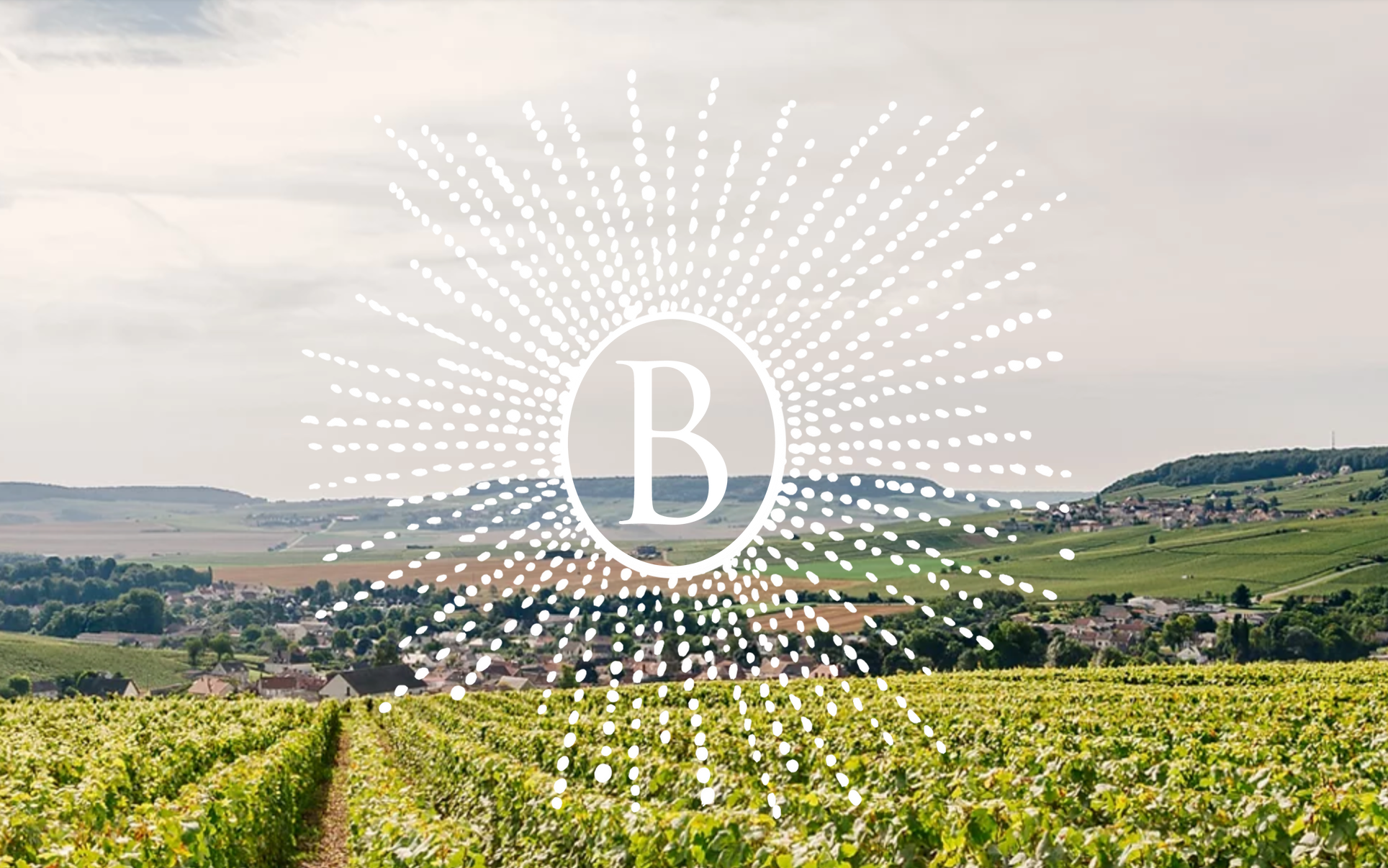 Boutique | Champagne Brassart | Moussy