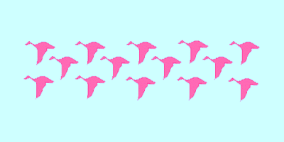 Afterimage 後像-為什麼手術服是藍綠色?