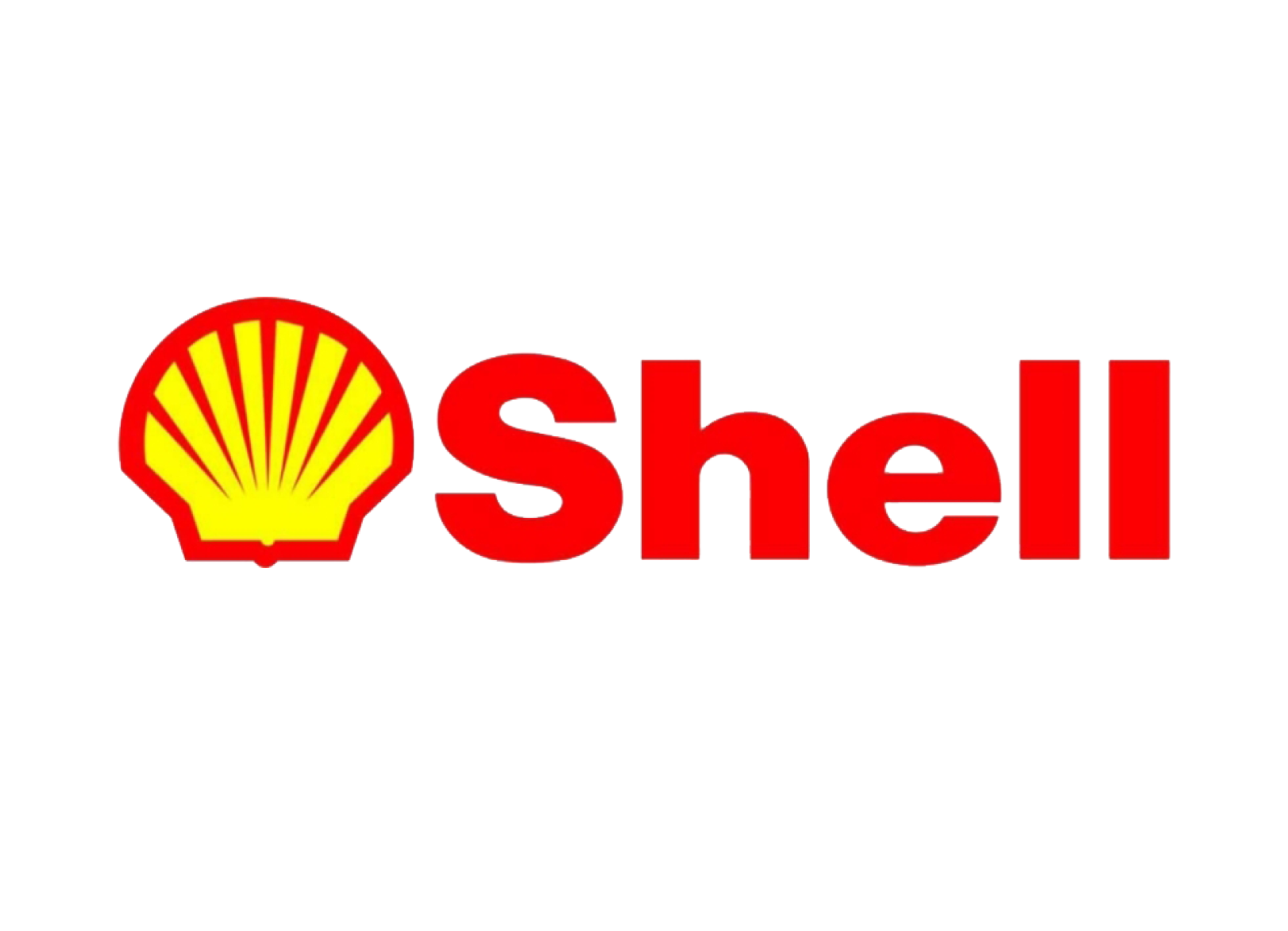 Shell Company | Workle