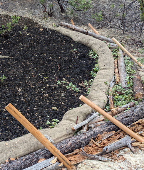 Home | Mooretown Rancheria Department of Natural Resources | Butte ...