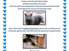 Home | Village of Nunda