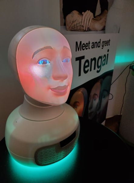 Tengai, Sweden's Recruiting Robot