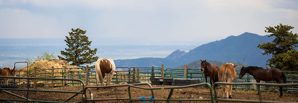 Directions to Camp | Colorado Mountain Ranch