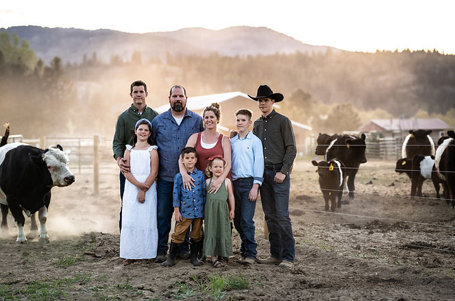 About Us | True North Cattle Co