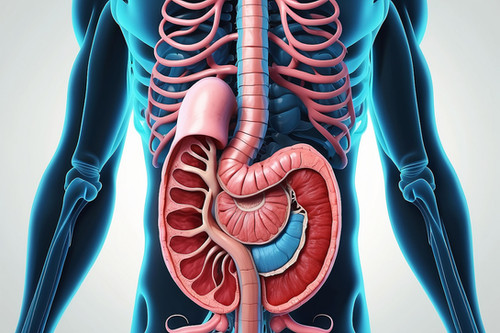 Test Metagenómico de Microbiota Intestinal (Completo) | Aristea Salud