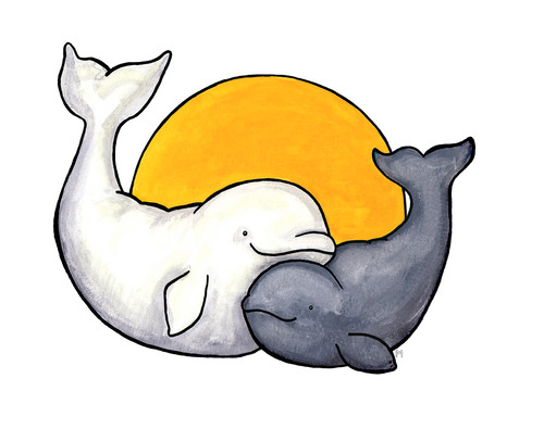 BB Beluga Print | Art by Hailey Morgan