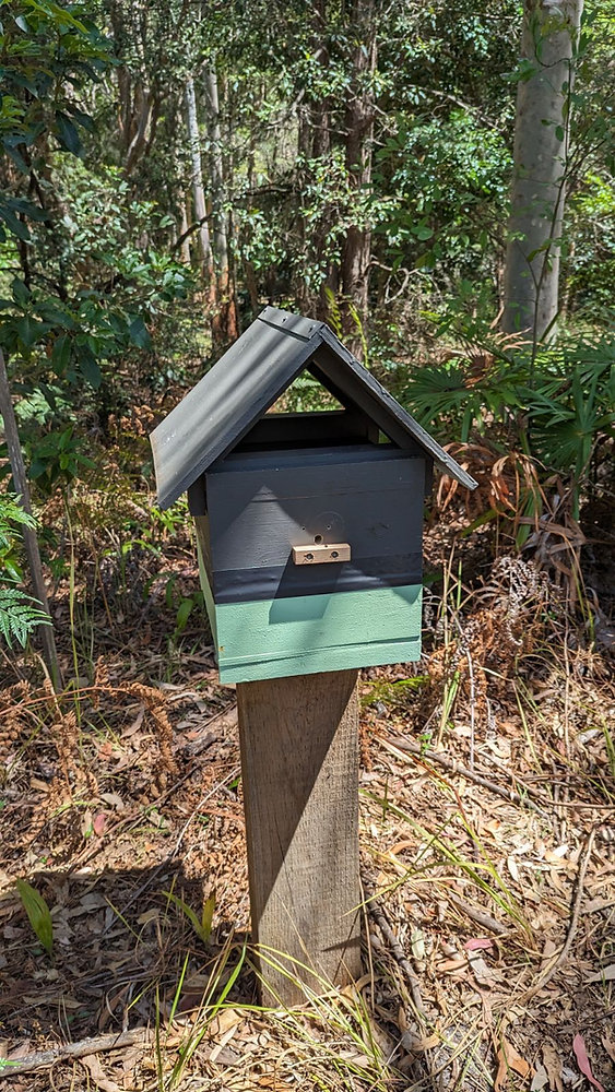Splitting our Native Bee Hives