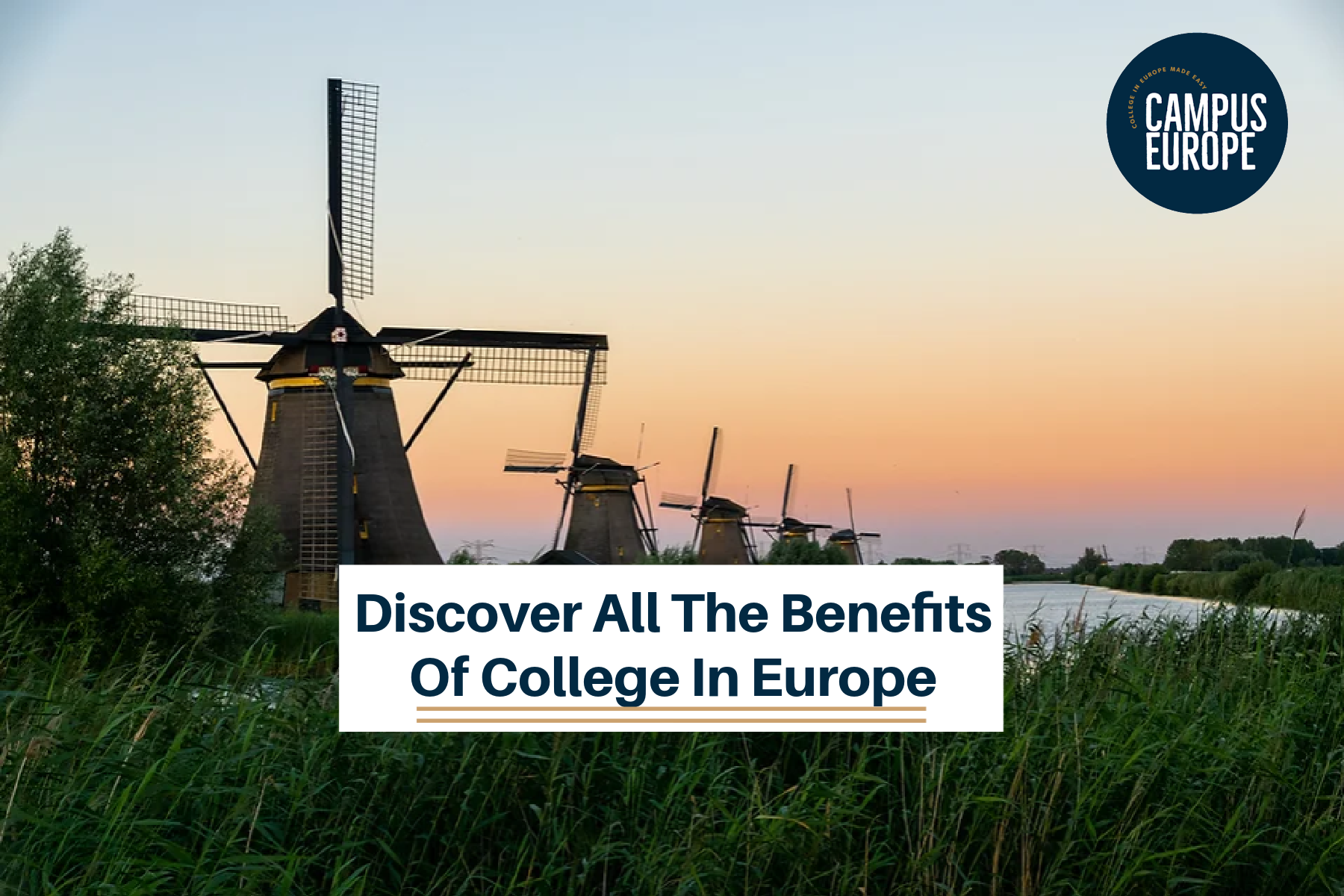 College in Europe Strategy ESSENTIAL | Campus Europe