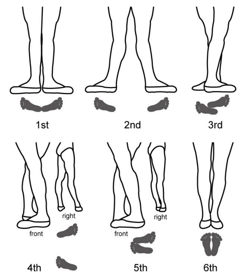 Posiciones de la Danza Clásica