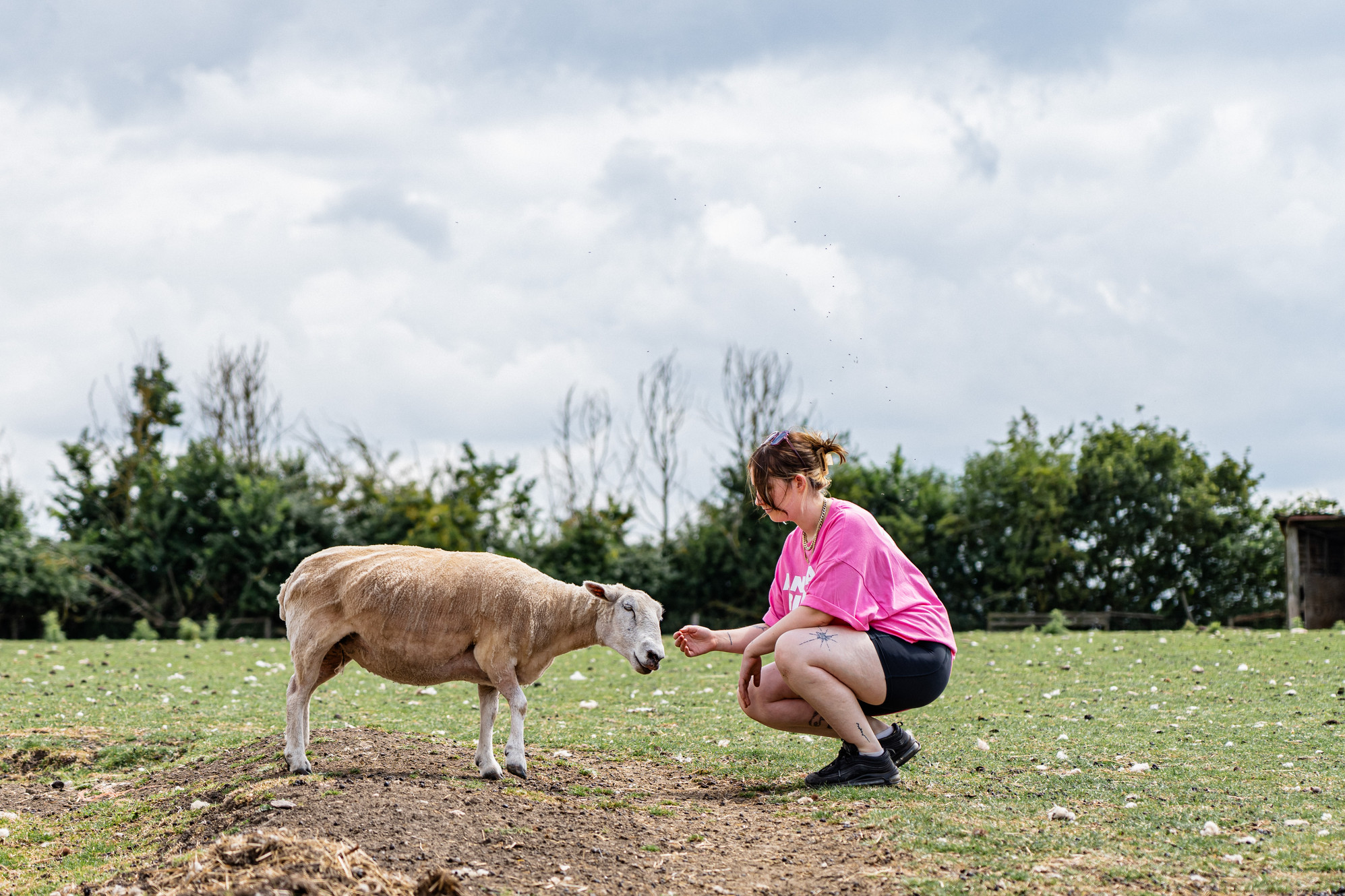 Press Releases | Animal Rising