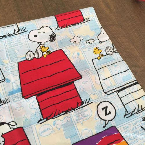 Snoopy | Casas coloridas | mundo