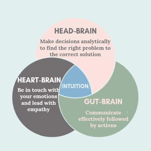 How To Develop The Three Brains Equilibrium (3BE)