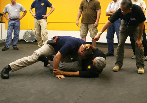 Houston Ground Defensive Tactics / Avoidance Training | Apex Self Defense