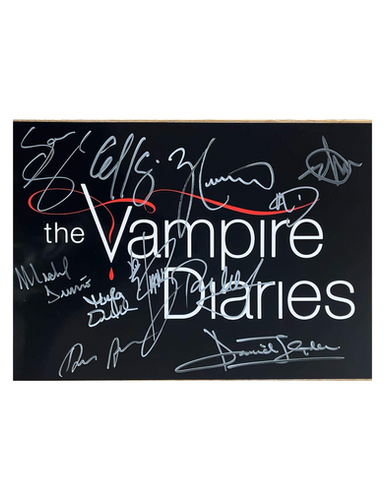 A3 Vampire Diaries Poster Signed by Twelve Cast Members in Silver ...
