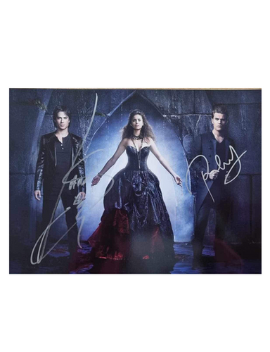 A3 Vampire Diaries Poster Signed by Paul Wesley and Ian Somerhalder ...
