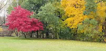 OUR CEMETERY | Riverhurst Cemetery