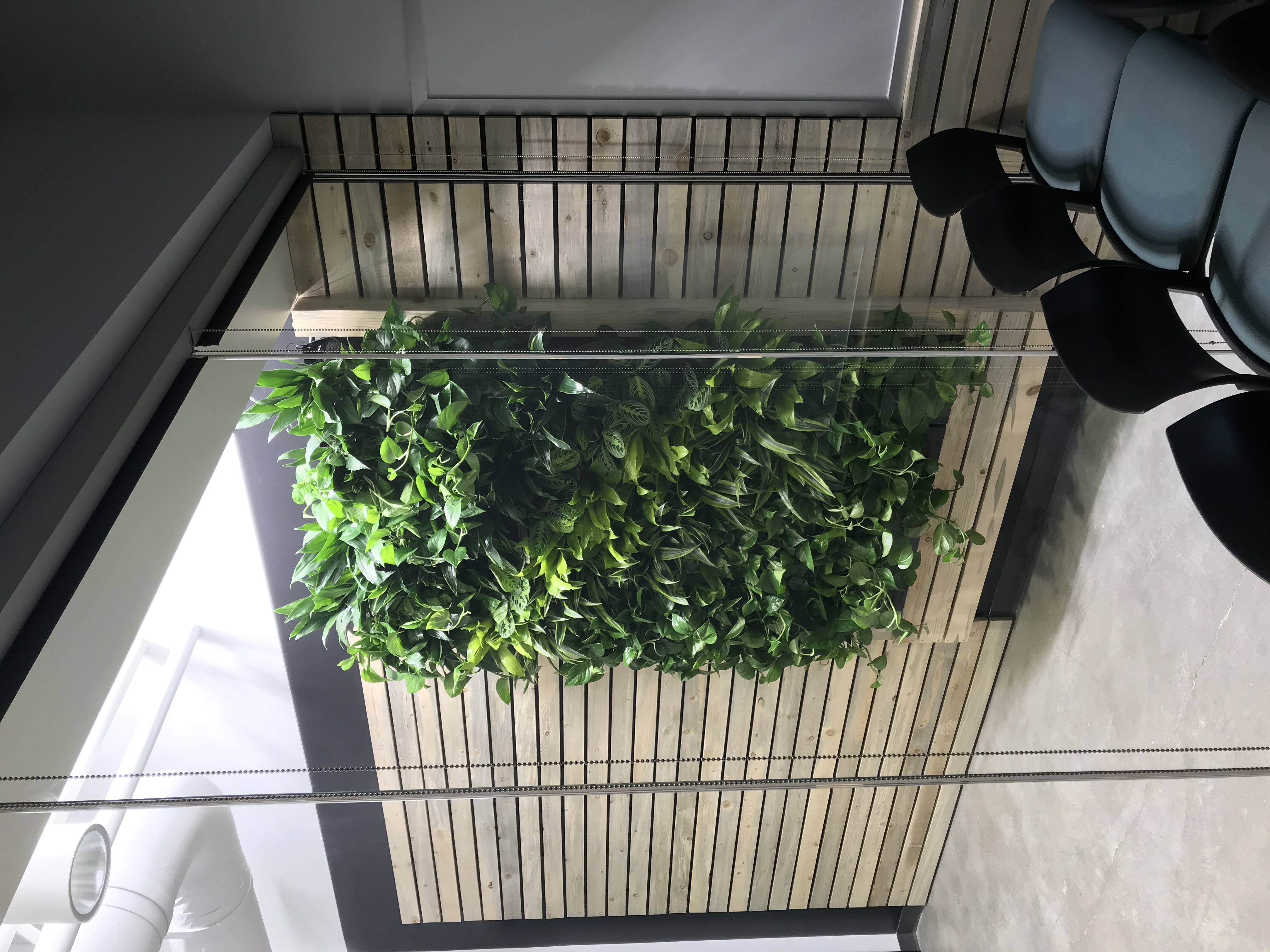 Living Green Walls, Vertical Gardens | Denver | City Plantscaping