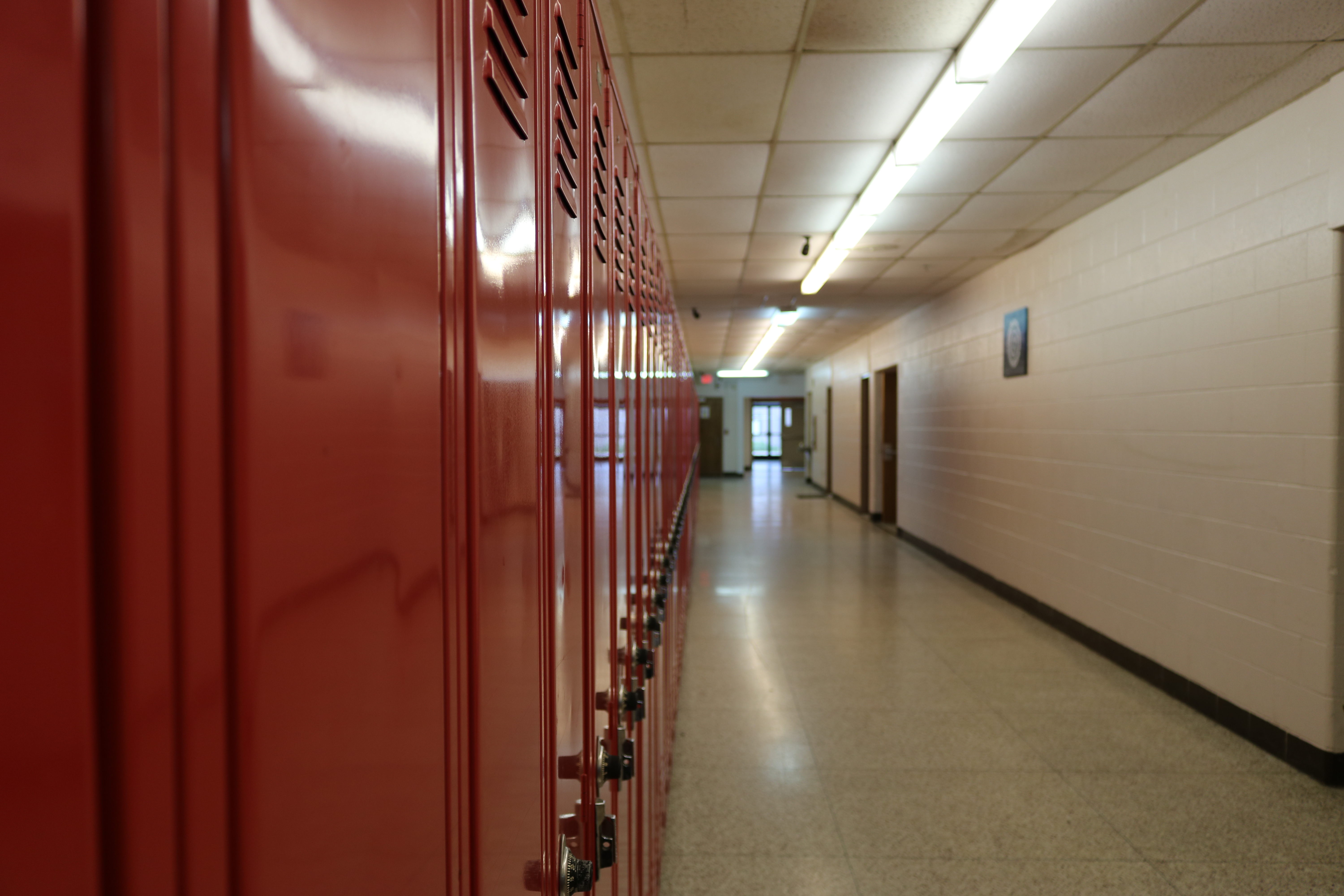 Michigan Islamic Institue | About Us