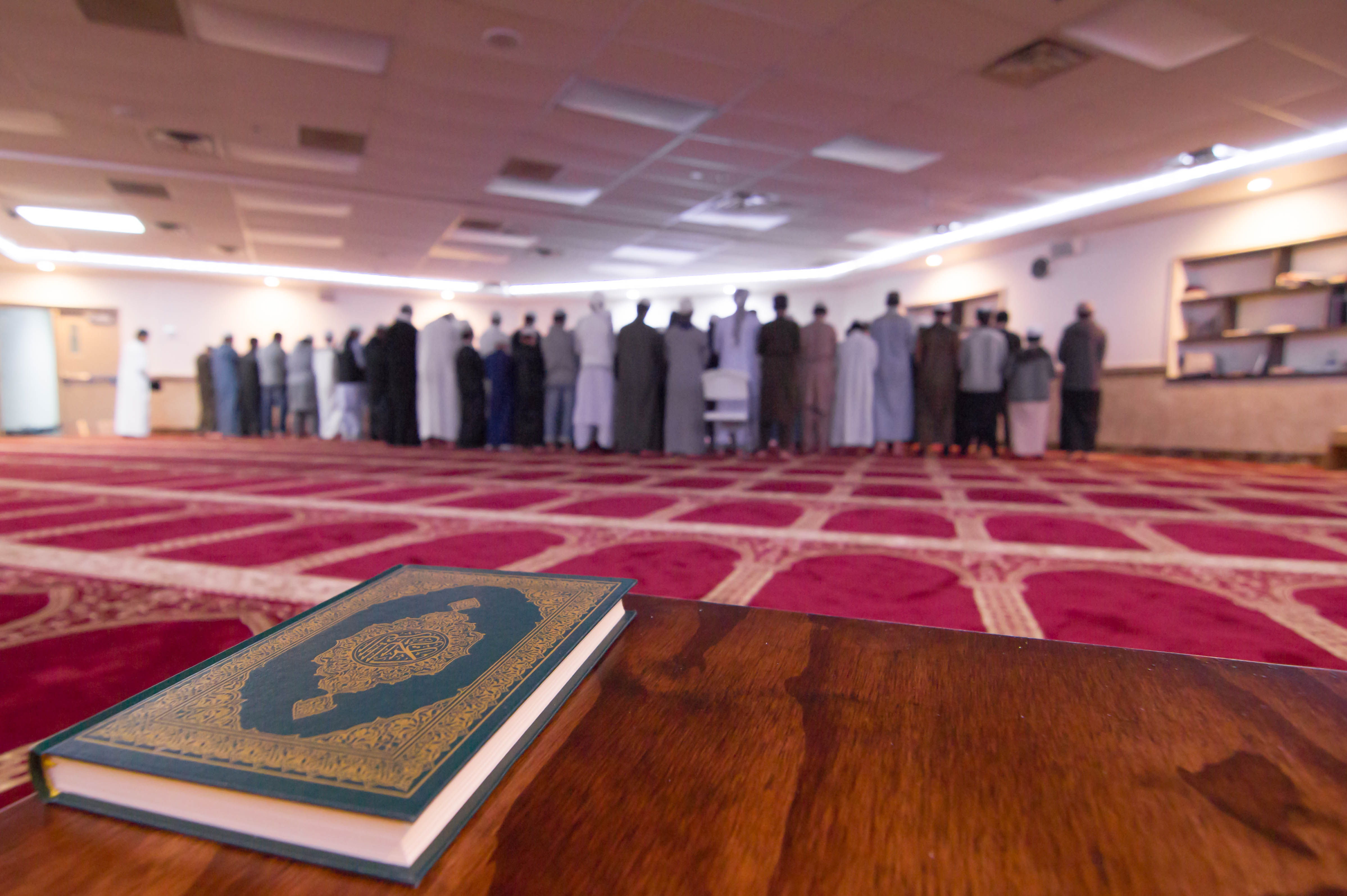 Michigan Islamic Institue | About Us