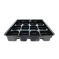 Oyster Trays | TQ Packaging