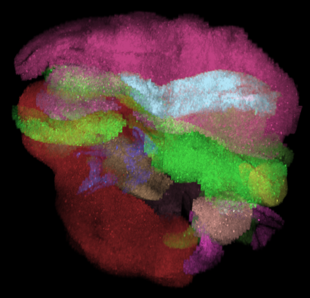 New paper is highlighted in several outlets