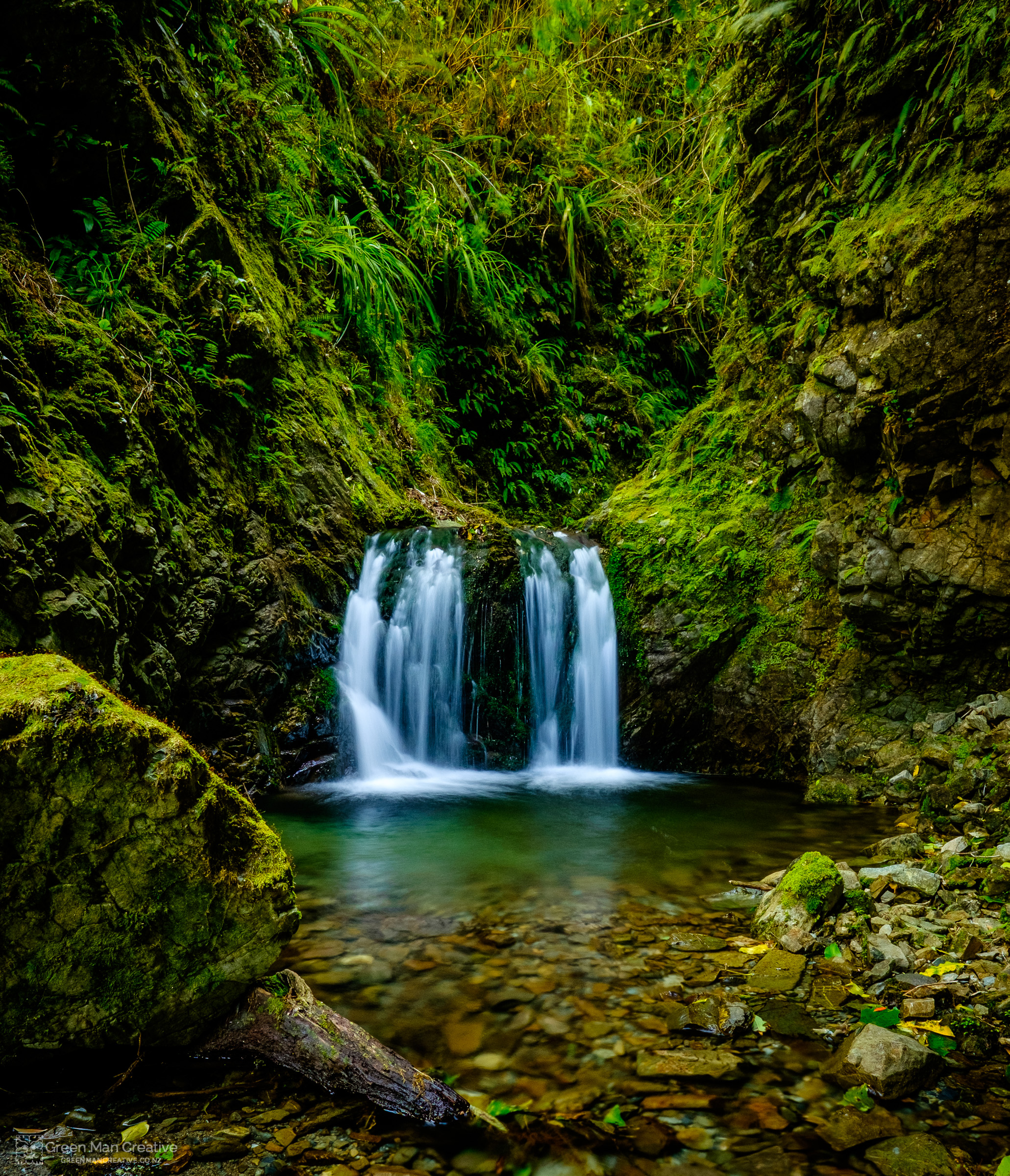 Walking & Tramping Peel Forest | The Lookout Peel Forest | Peel Forest