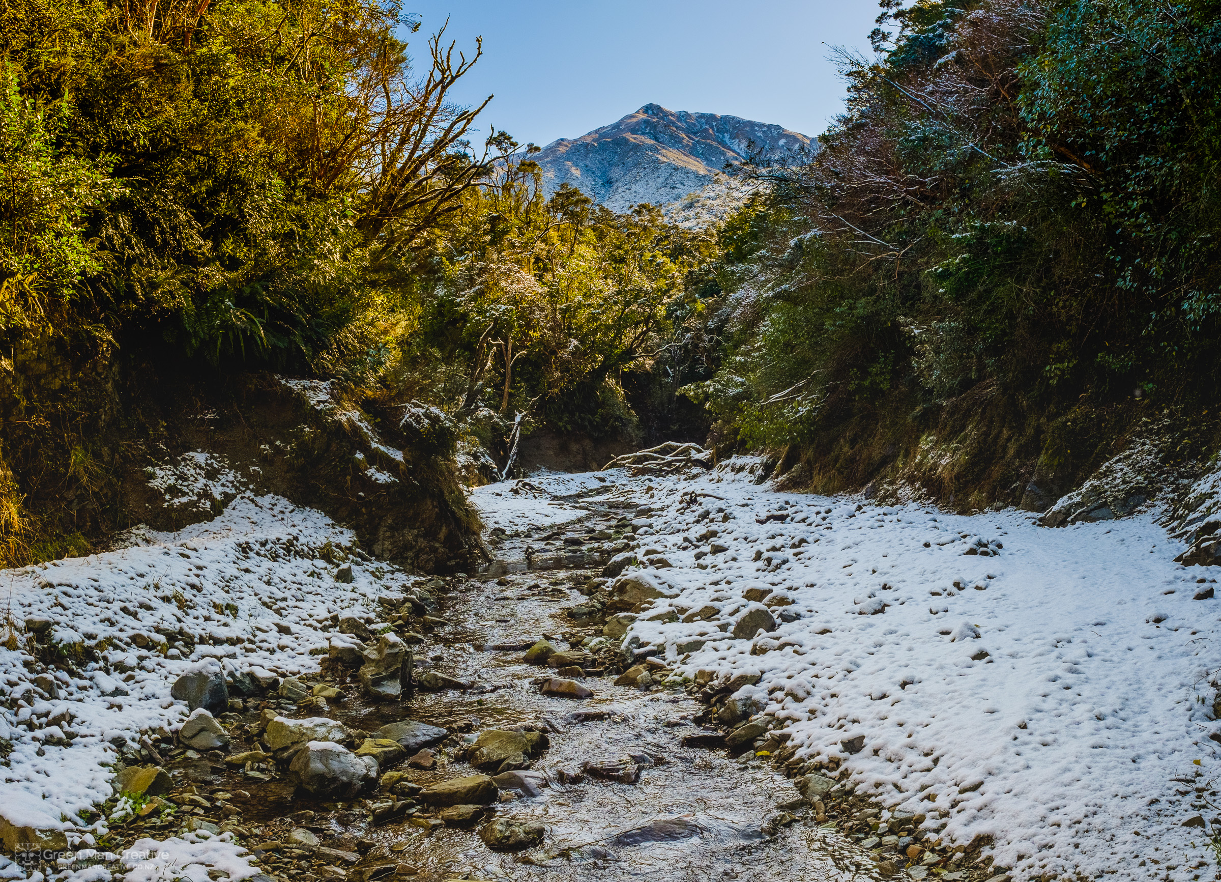 Walking & Tramping Peel Forest | The Lookout Peel Forest | Peel Forest