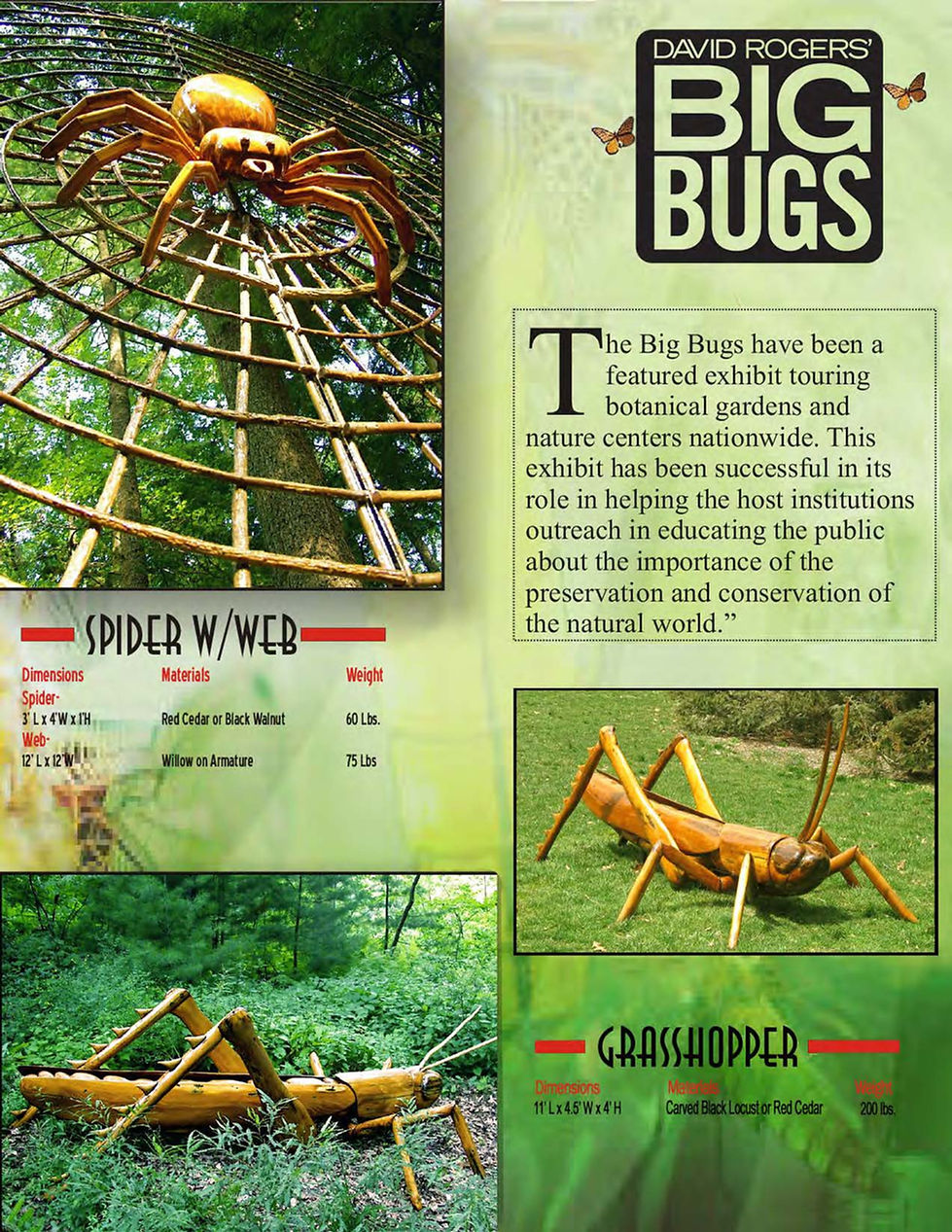 The Big Bugs | David Rogers Big Bugs
