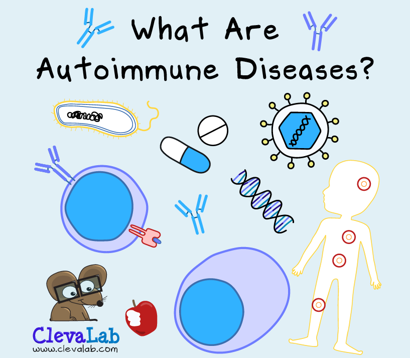 What Are Autoimmune Diseases & How Do They Develop?