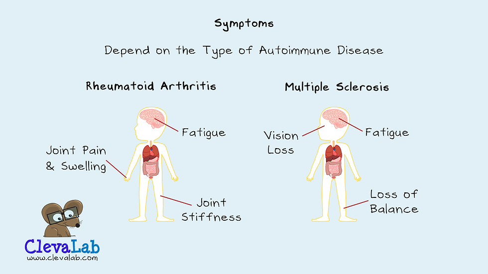 What Are Autoimmune Diseases & How Do They Develop?