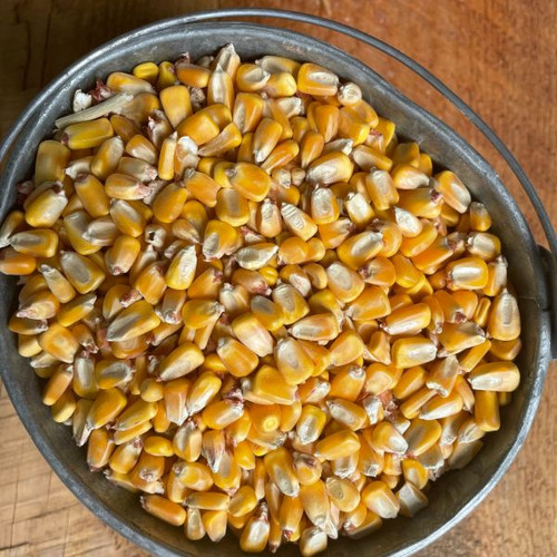 Whole Corn 8% | Delta Farm LLC