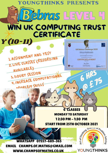 Bebras Level-4 (6hrs @ £75) | website