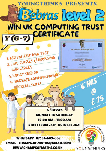 Bebras Level-2 (6hrs) @ £75 | website