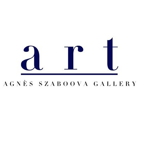 David Huet | Agnès Szaboova Gallery | France