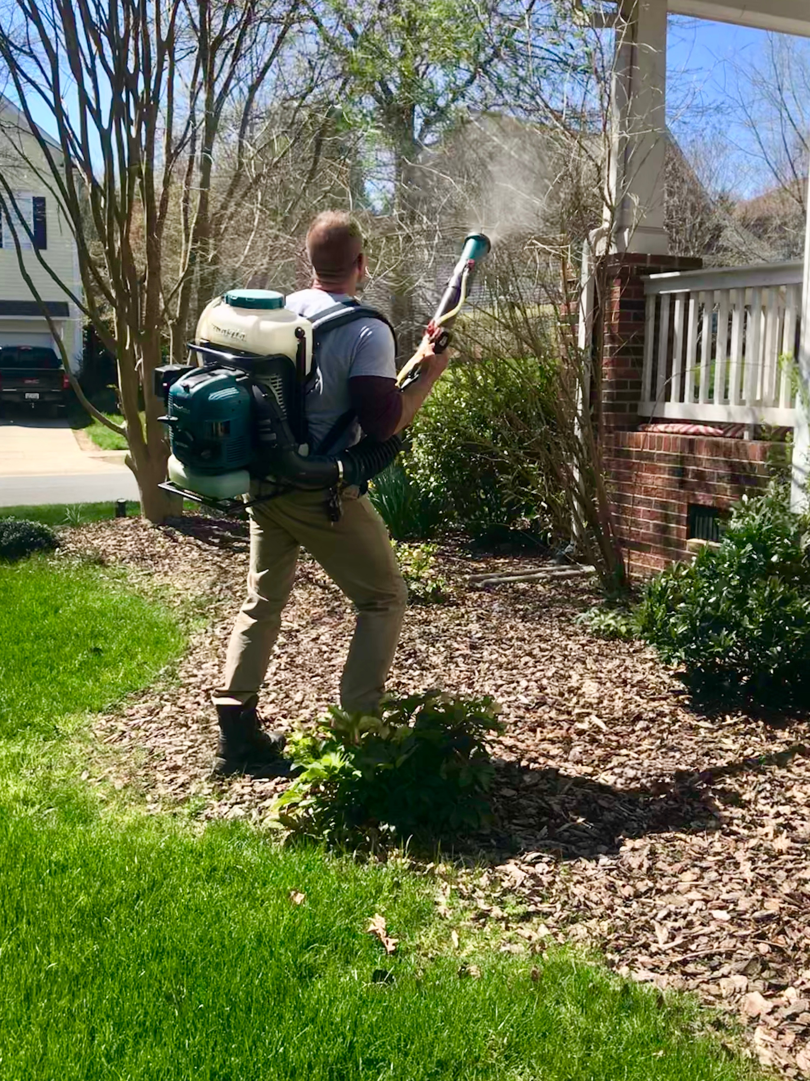 Home | Freedom Pest Services