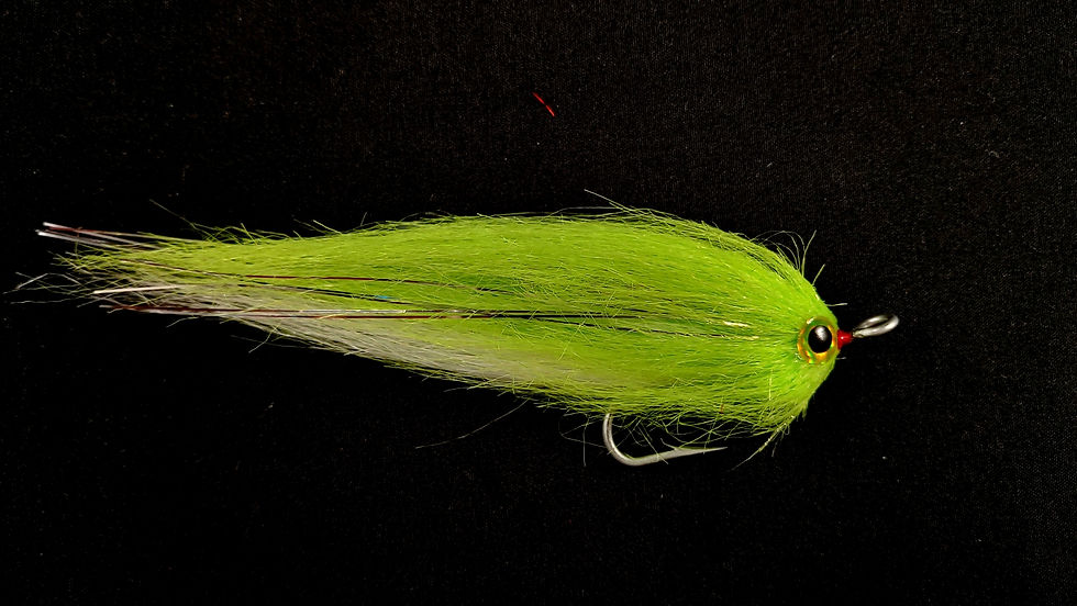 Bait Fish Streamer | DavidHartlin Guiding