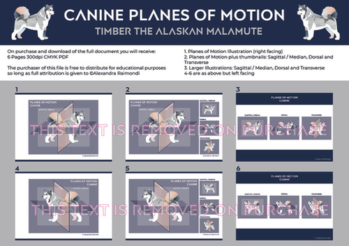 CANINE PLANES OF MOTION - Timber 6 pages digital download | Peak ...