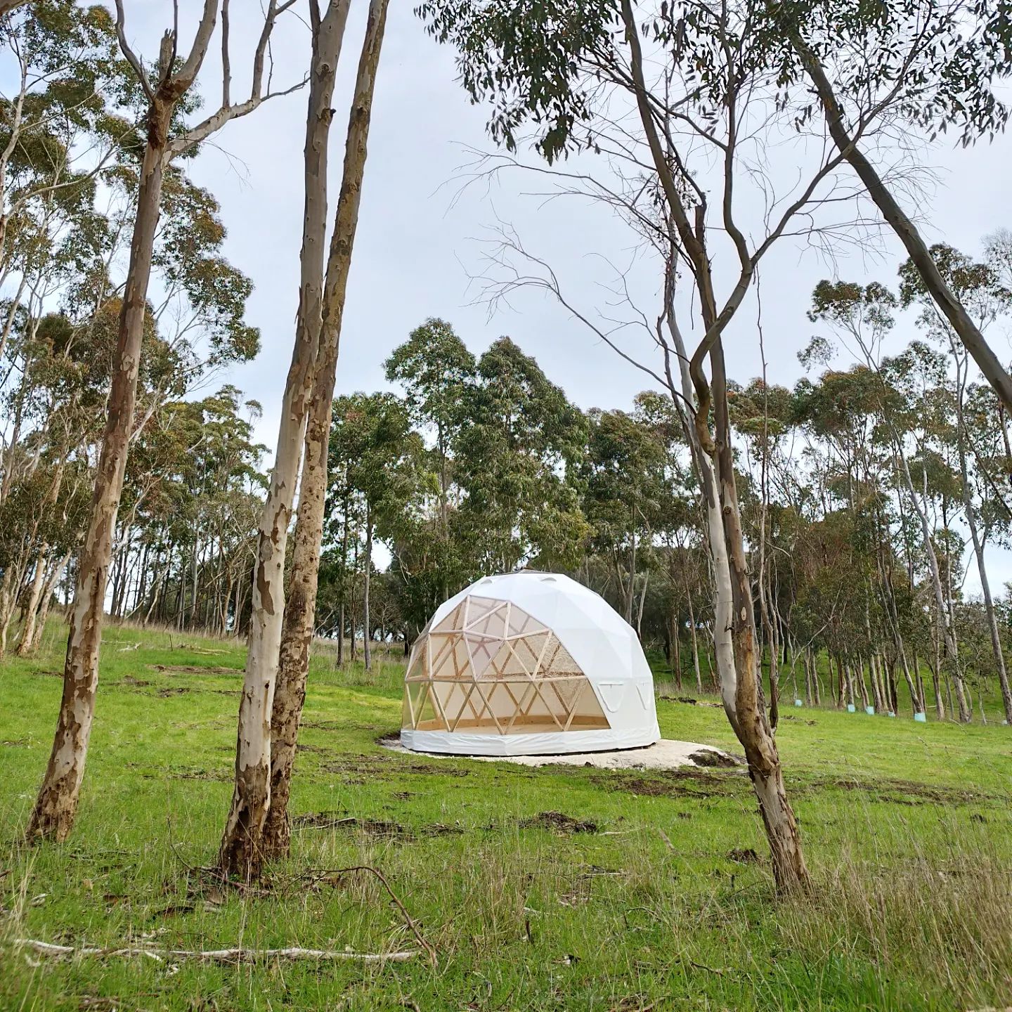 6m Studio Dome | Geodomes Australia