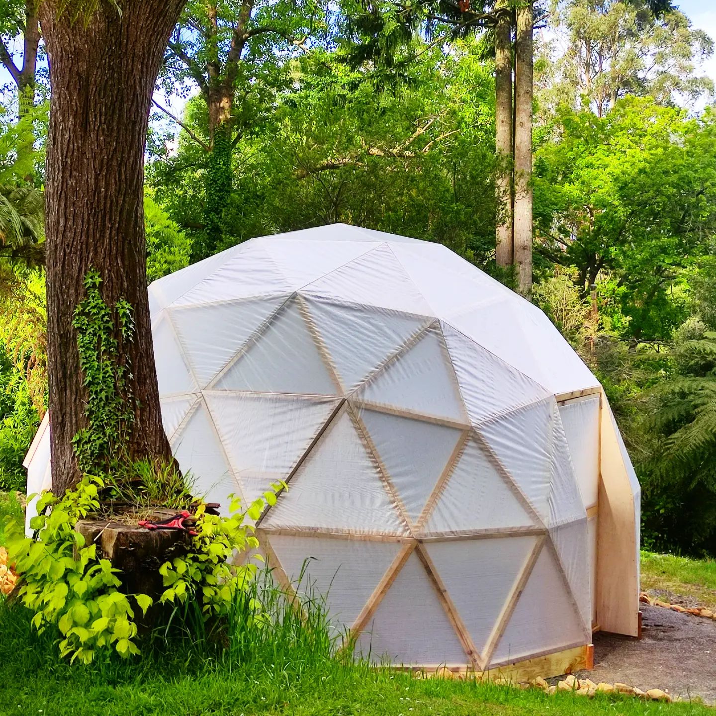 5m Geodesic Greenhouse | Geodomes Australia