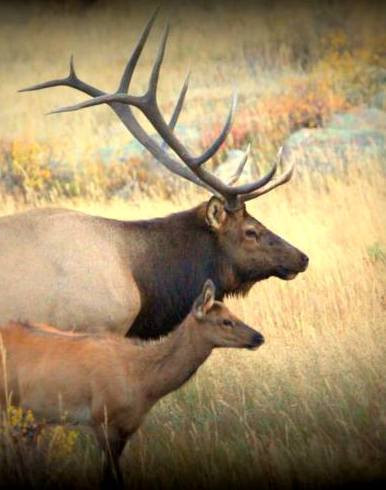 Father and Baby Slate Art | Two Turner Photo