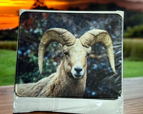 Big Horn Sheep Mouse Pad | Two Turner Photo