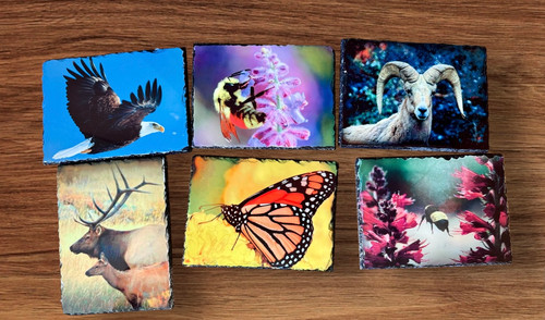 Slate Art | Two Turner Photo