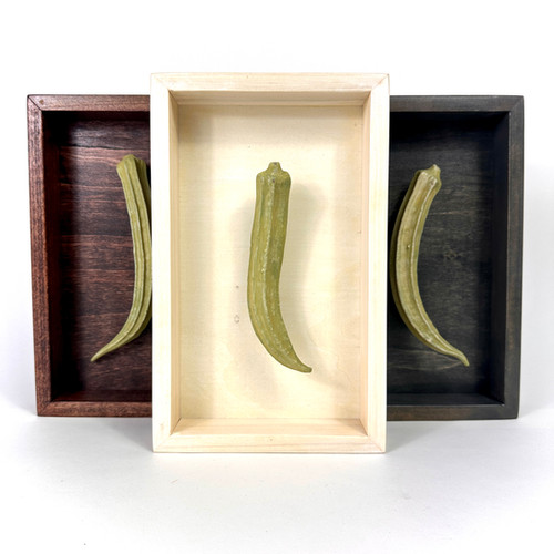 A variety of large okras, mounted | Ficus Ceramica