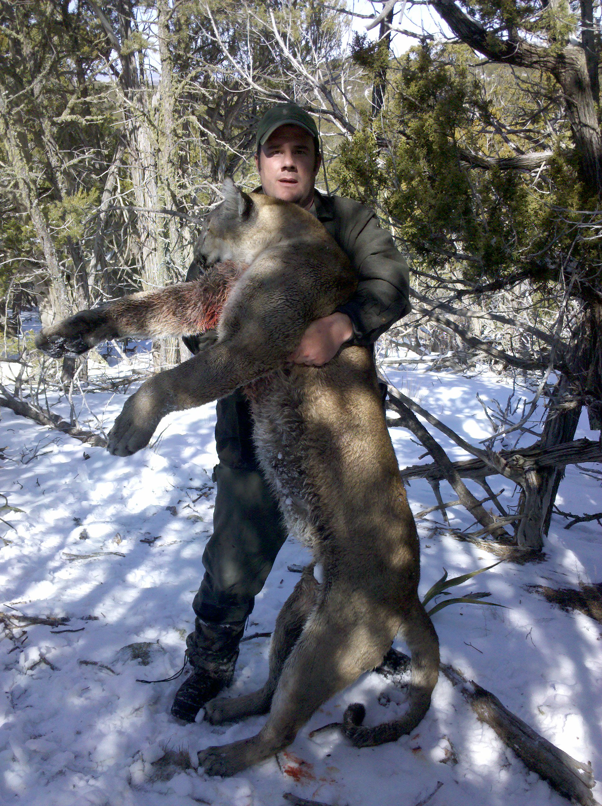 The Draw - Jason Browning