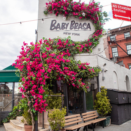 Our Work | floratorium